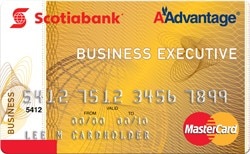 AAdvantage Business Term Loans for Executive MasterCard